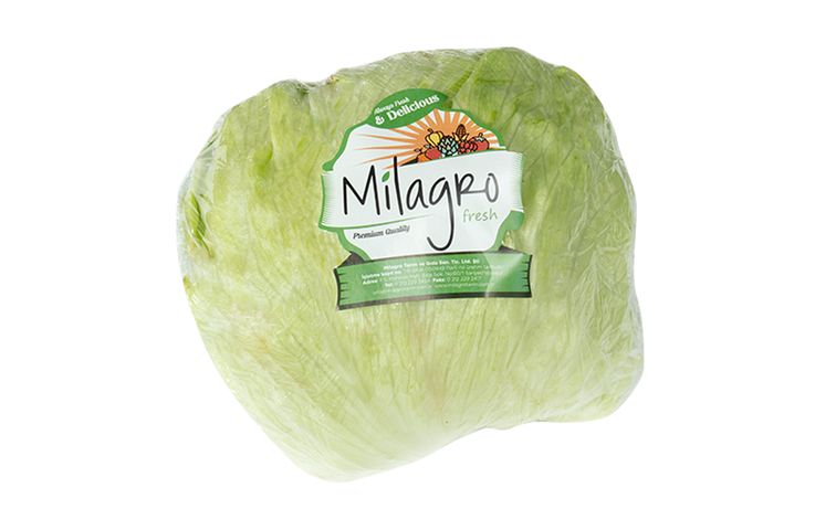 Milagro Göbek Marul 1 adet - yemeksepeti.com